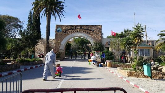 Mauvais temps : les parcs urbains fermés à Tunis et dans sa banlieue